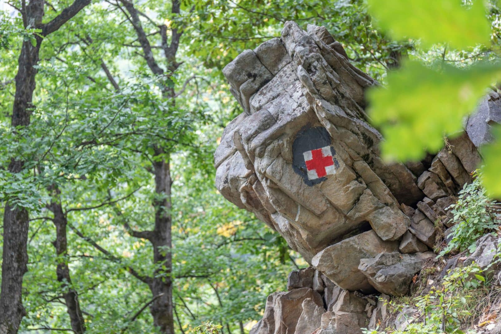 Voluntariness: History | Society | Theory - Home